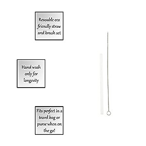 Santa Barbara Design Studio SIPS Drinkware Reusable Glass Cocktail Straws with Cleaning Brush, Set of 4, 5-Inches, Clear