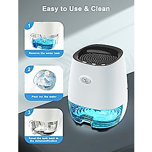 Dehumidifiers:Portable Dehumidifier for Home, Bedroom, Bathroom 35OZ Small Dehumidifiers Mini dehumidifier with Auto Shut-off, 7 Colors Night Lights, Ultra Quiet for Closet RV Office