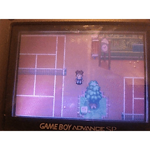 Mario Tennis Power Tour