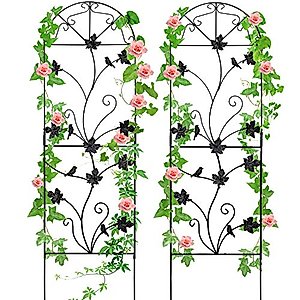 2 Packs 64"x17" Metal Garden Trellis for Climbing Plants Rustproof Sturdy Black Iron Trellis Plants Support Outdoor for Climbing Vegetable Rose Potted Plants Flower Cucumber Clematis