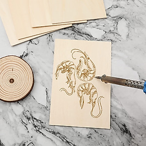 12 Pack Basswood Sheets for Crafts,12 x 12 x 1/8 Inch- 3mm Thick Plywood Sheets with Smooth Surfaces, Squares Bass Wood Boards for Laser Cutting, Wood Burning, Architectural Models, Staining