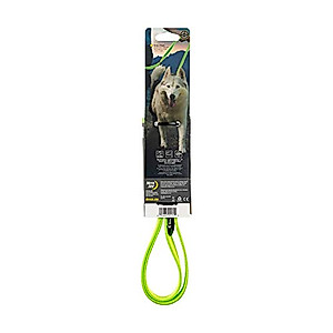 Nite Ize NiteDog Rechargeable LED Leash, USB Rechargeable 5 Foot Light Up Dog Leash w/Padded Handle, Lime