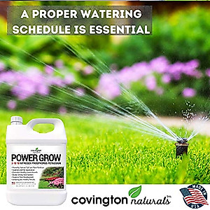 Liquid Lawn Fertilizer, 3-18-18 NPK Grass Fertilizer, Premium Lawn and Plant Nutrient Liquid Fertilizer and Food – Year Round Concentrate for Best Value – All Grass Types – 32 OZ