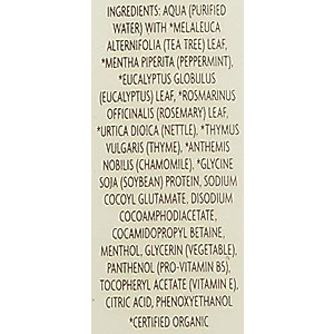 Trader Joe's 2 Packs Tea Tree Tingle Body Wash with Peppermint and Eucalyptus - Cruelty-free