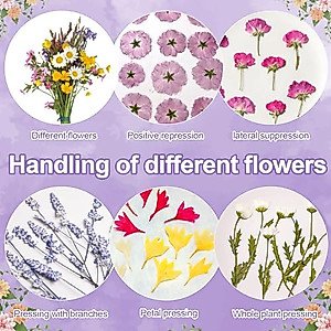 Suziko Large Flower Press Kit for Adults& Kids Flower &Plant Preservation Kit Measures 10.8" x 6.9" Arts and Crafts for Adults Leaf Press & Flower Press- Great Gift for Lovers