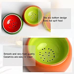 Hamster Bowls 3 Pack Dwarf Hamster Food Bowl Prevent Chewing Hamster Feeding Bowl Guinea Pig Hamster Water Rat Bowl Small Animal Food Dish for Syrian Rabbit Gerbil Chichilla Hedgehog Sugar Glider