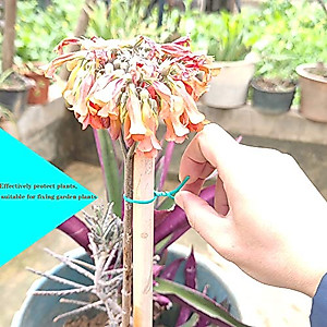 Green Garden Plant Ties,500pcs 6” Twist Ties for Bags, Vines and Cords,Garden ties for Tomato Cage,Plant Supports for Effective Growing