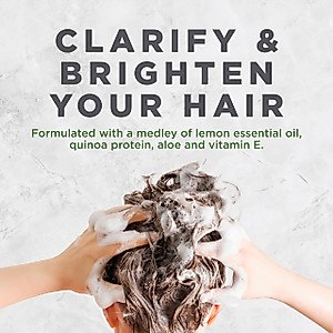 Avalon Organics Clarifying Lemon Shampoo, Removes Buildup to Restore Brightness and Shine, 11 Fluid Ounces