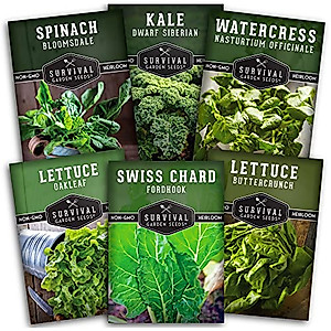 Hydroponics Vegetable Seed Collection for Planting - Watercress, Spinach, Siberian Kale, Swiss Chard, Buttercrunch, Oakleaf Lettuce Varieties to Grow Indoors Non-GMO Heirloom Survival Garden Seeds