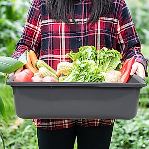 Vcansay 34 Quart Plastic Bus Tubs Commercial, Large Bus Box, 4 Packs