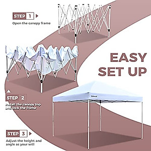 Outmotd 10ft x 10ft Slant Leg pop up Tent with Carrybag, Ground Stakes, Ropes, Outdoor Canopies Instant Party Gazebo