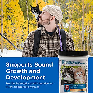 Nutri-Vet Milk Replacement for Kittens + Lixit Nursing Bottle Kit