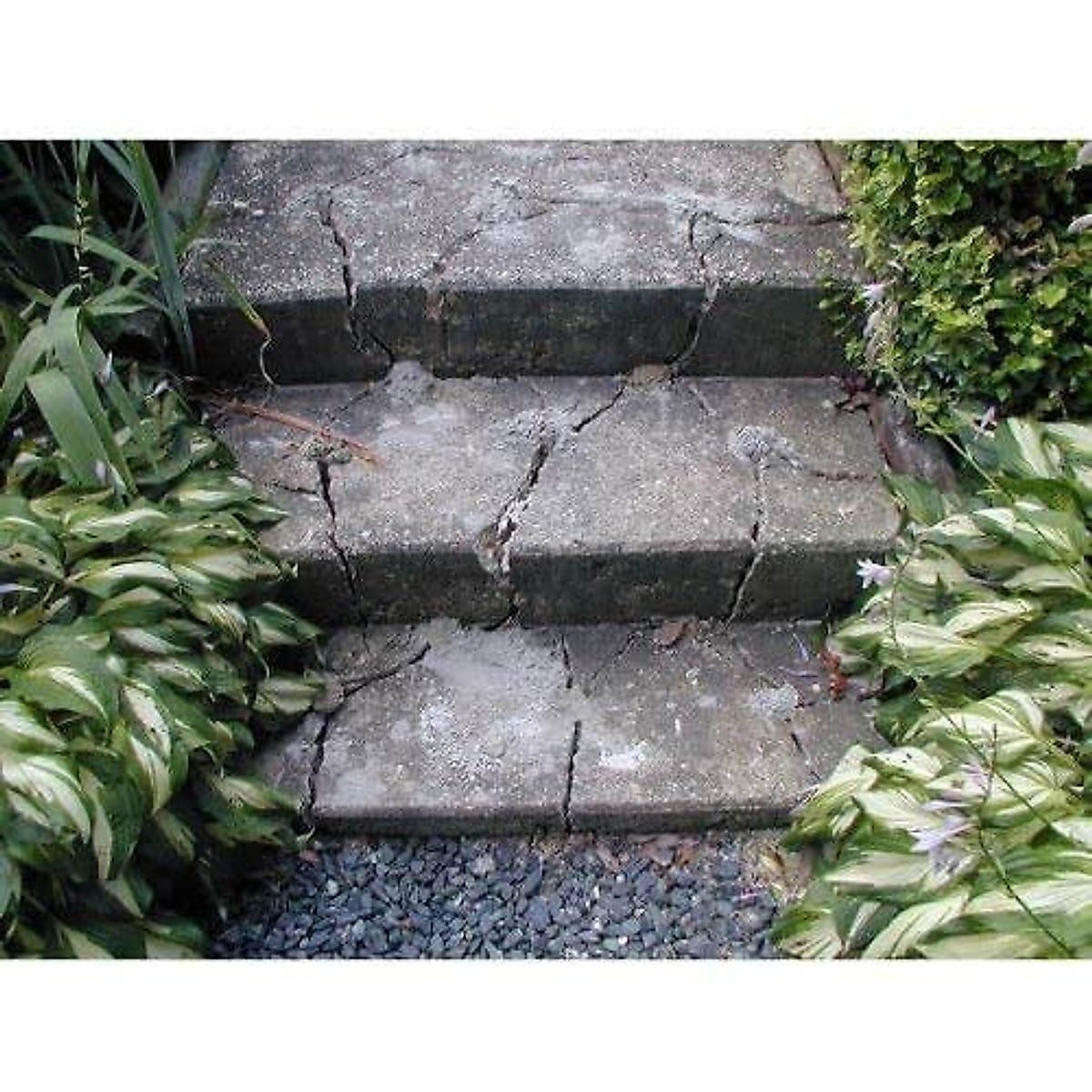 Dexpan Expansive Demolition Grout 44 Lb. Box for Rock Breaking, Concrete Cutting, Excavating. Alternative to Demolition Jack Hammer Breaker, Jackhammer, Concrete Saw, Rock Drill (DEXPAN44BOX3) (23F-50F)