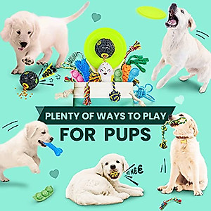 SHARLOVY Dog Chew Toys for Puppies Teething, Puppy Toys 16 Pack Dog Toys for Aggressive Chewers Puppy Chew Toys Peas Rubber Bone Dog Toy Bundle Small Dog Squeaky Toys for Small Dogs