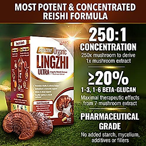 LABO Nutrition Bioactive Organic Lingzhi / Reishi Ultra for Immune Support, Vitality, USDA Organic, 7 Medicinal Mushroom Supplement, Cordyceps, Maitake, Turkey Tail, Agaricus blazei Murill, Shiitake