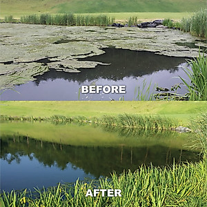 Kasco Macro Zyme Time Release Block Beneficial Bacteria Pack of 2 | Muck Remover for Ponds & Lakes | Non-Chemical Lake & Pond Treatment for Eliminating Sludge & Odors | Treats Up to 6 acre-feet 12 lb.