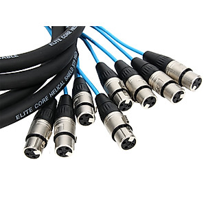 Elite Core PEX810 | 8 Channel Fan To Fan XLR Extension Snake | 10' ft