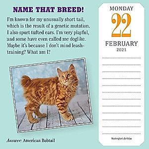 A Year of Cat Trivia Page-A-Day Calendar 2021