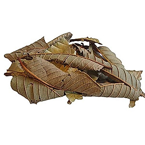 Yerbero - Hoja De Guayaba Entera (.75 oz - 22gr) Whole Dried Guava Leaf | 100% All Natural Delicious| 20+ Servings | From Mexico.