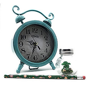 1 Inch Pet Dragon Green with Adoption Certificate