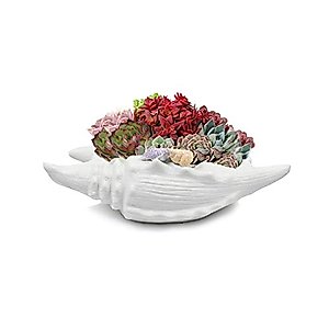 Dahlia White Seashell Ceramic Succulent Planter/Plant Pot/Flower Pot/Bonsai Pot