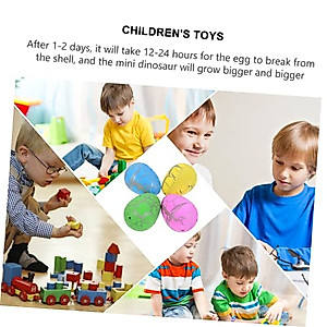 EXQUIMEUBLE 12pcs Water Hatching Dinosaur Eggs Mini Toy Kids Educational Toys Inflatable Toy Transforming Dinosaur Toys Easter Eggs Surprise Toys Dinosaur Egg Toys Inflation Toy Dinosaur Model