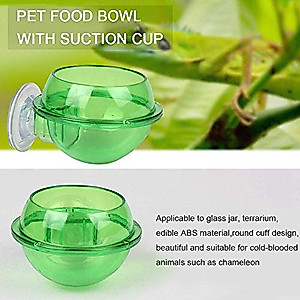 Suction Cup Reptile Feeder, Anti-Escape Reptile Food Bowl, Chameleon Bowl, Worm Live Fodder Container ,Translucent Home Pet Feeder Supplies Accessories for Tortoise Gecko Snakes Chameleon Iguana