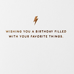 Hallmark Signature Harry Potter Birthday Card (Favorite Things)