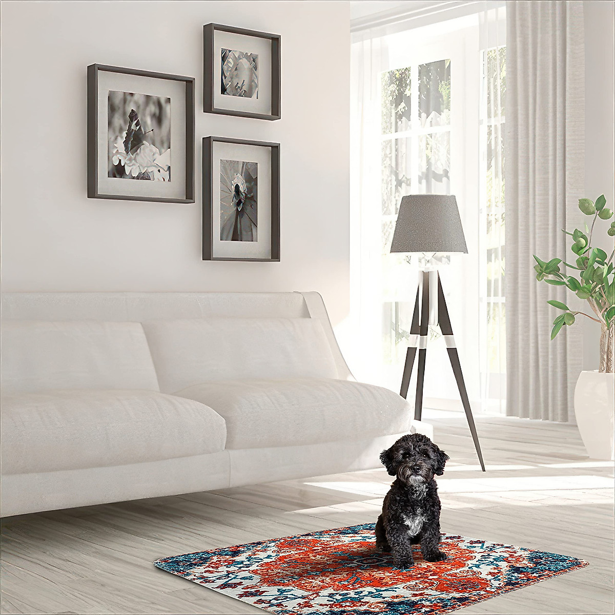 PUPIBOO Washable Pee Pads for Dogs - Super Absorbent Reusable Puppy Training Pads - 100% Waterproof, Leak-Proof & Non-Slip Whelping Pads for Pet Housebreaking