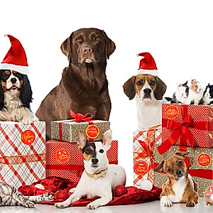 500 Pieces Merry Christmas Stickers Christmas Round Label Stickers Gold Foil Christmas Envelope Stickers for Cards Gift Envelopes Boxes Bag Sealing Decorations