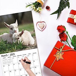 2024 Wall Calendar,Calendar 2024, November 2023 - December 2024, Wall Calendar Pathway, 12" x 24" Opened,Full Page Months Thick & Sturdy Paper for Gift Perfect Calendar Organizing & Planning