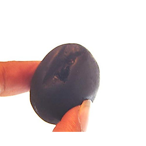 phoenix888 Adwaitya Dashavatar Shaligram Nepal Kali Gandaki