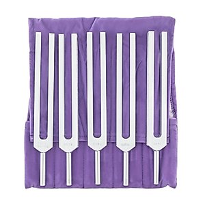 Biosonics Set of 5 Brain Tuning Forks - Includes 5 Tuning Forks, Pamphlet, & Velvet Bag/Developed Based on Brain Wave Studies