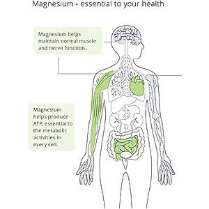 CanPrev Magnesium Bisglycinate (120 Count (Pack of 1), 200mg - Gentle)