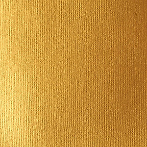 Liquitex BASICS Acrylic Paint, 250ml (8.5-oz) Tube, Gold
