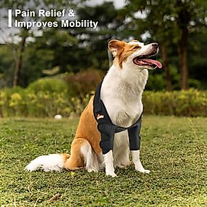 NeoAlly Breathable Dog Elbow Brace Protector Pads for Canine Elbow and Shoulder Support Elbow Hygroma, Dysplasia, Osteoarthritis, Elbow Calluses, Pressure Sores and Shoulder Dislocation (Right Large)