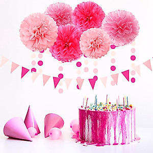 Rose Hot Pink Party Decorations - 23pcs Girl Birthday Baby Shower Tissue Pom Poms Streamers, Bachelorette Bridal Wedding Engagement Supplies Tassel Garland Banner,Valentines Day Favors Decor Ouruola