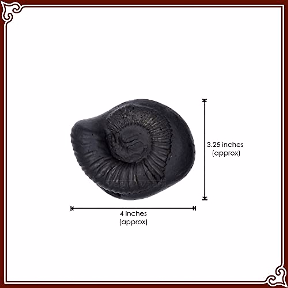 Vedic Vaani Sacred Varaha Lakshmi Laxmi Shankhu Shaligram Shila (Pack of 4)