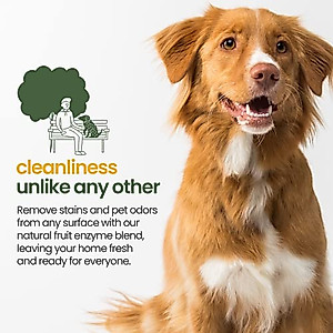 Gerrard Larriett - Natural Pet Stain & Odor Remover, Cleaning Pet Supplies with Citrus Oil Blends, All-Natural Pet Stain Remover for Furniture, Floors and Carpets, Pet and Kid-Safe, 16 oz