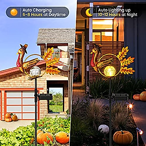 Thanksgiving Decorations Outdoor, 2 Pack AHAORIGIN Solar Turkey Fall Decorations, 36" Solar Powered Metal Turkey Garden Stakes Lights, Auto ON/Off Waterproof Thanksgiving Yard Pathway Outdoor Decor