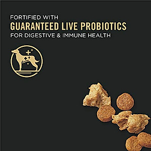 Purina Pro Plan High Protein Puppy Food Shredded Blend Chicken & Rice Formula - 6 lb. Bag