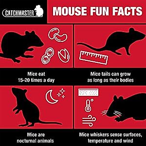 Mouse & Insect Glue Traps by Catchmaster - 6 Rodent Pre-Baited Trays, Ready to Use Indoors. Bug Sticky Adhesive Killer Exterminator Easy No-Mess Non-Toxic - Made in The USA