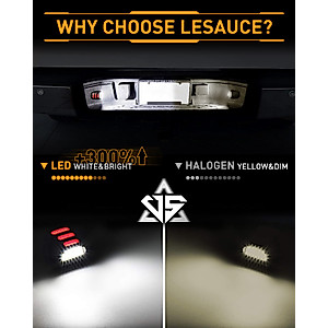 LESAUCE Red OLED Neon Tube LED License Plate Lights Tag Lights Assembly Replacement for Chevy Silverado GMC Sierra 1500 2500 3500 Tahoe Suburban Escalade Yukon XL, 2PCS