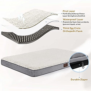 WESTERN HOME Large Orthopedic Dog Beds for Large and Extra Large Dogs/Cats Egg-Crate Foam Pet Bed Mat with Soft Removable Cover, Waterproof Lining, Foam Dog Crate Bed