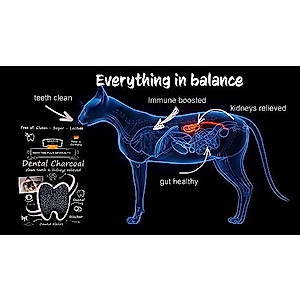 QCHEFS Dental Charcoal for Cats – Two Month Supply* - Food Topper - After Meal Licking Treat, Oral Health Snack with Amino Acids.