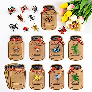 Valentines Day Cards for Kids - 36 Pack Love Bug Valentine Day Gifts for Kids & 12 Different Toy Bugs - Kids Valentines Day Cards Greeting Cards for Kids Classroom School Gifts Exchange Party Favors