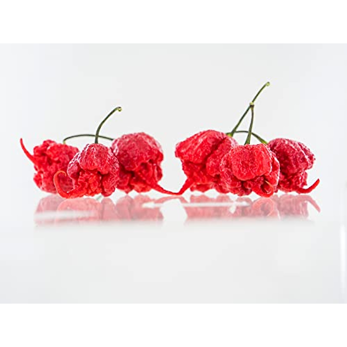 Pepper Joe’s Carolina Reaper Seeds – Pack of 10+ World’s Hottest Chili Pepper Seeds – USA Grown – Premium Non-GMO Carolina Reaper Seeds for Planting