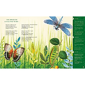 The Illustrated Emily Dickinson: 25 Essential Poems (The Illustrated Poets Collection, 1)