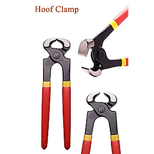 long river 8 inch Farrier Tool Kits （5 Piece） Mini Rasp Hoof File Equine Metal Shears Farriers Hoof Nipper for Goat Pig