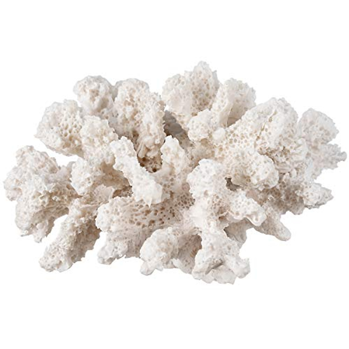 Nautical Crush Trading Decorative Sea Coral - 4in x 3.5in x 2.5in - Small White Coral for Beachy Decor - Perfect for Aquariums - Fish Tanks